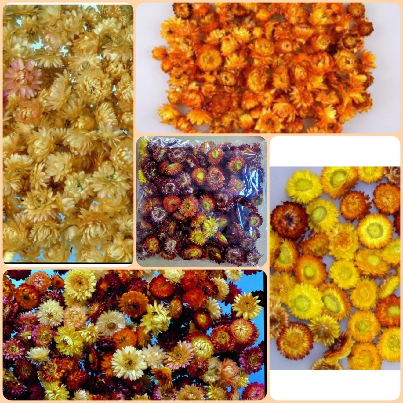 Capete Flori De Paie 100 Gr - DepoDecorFloral